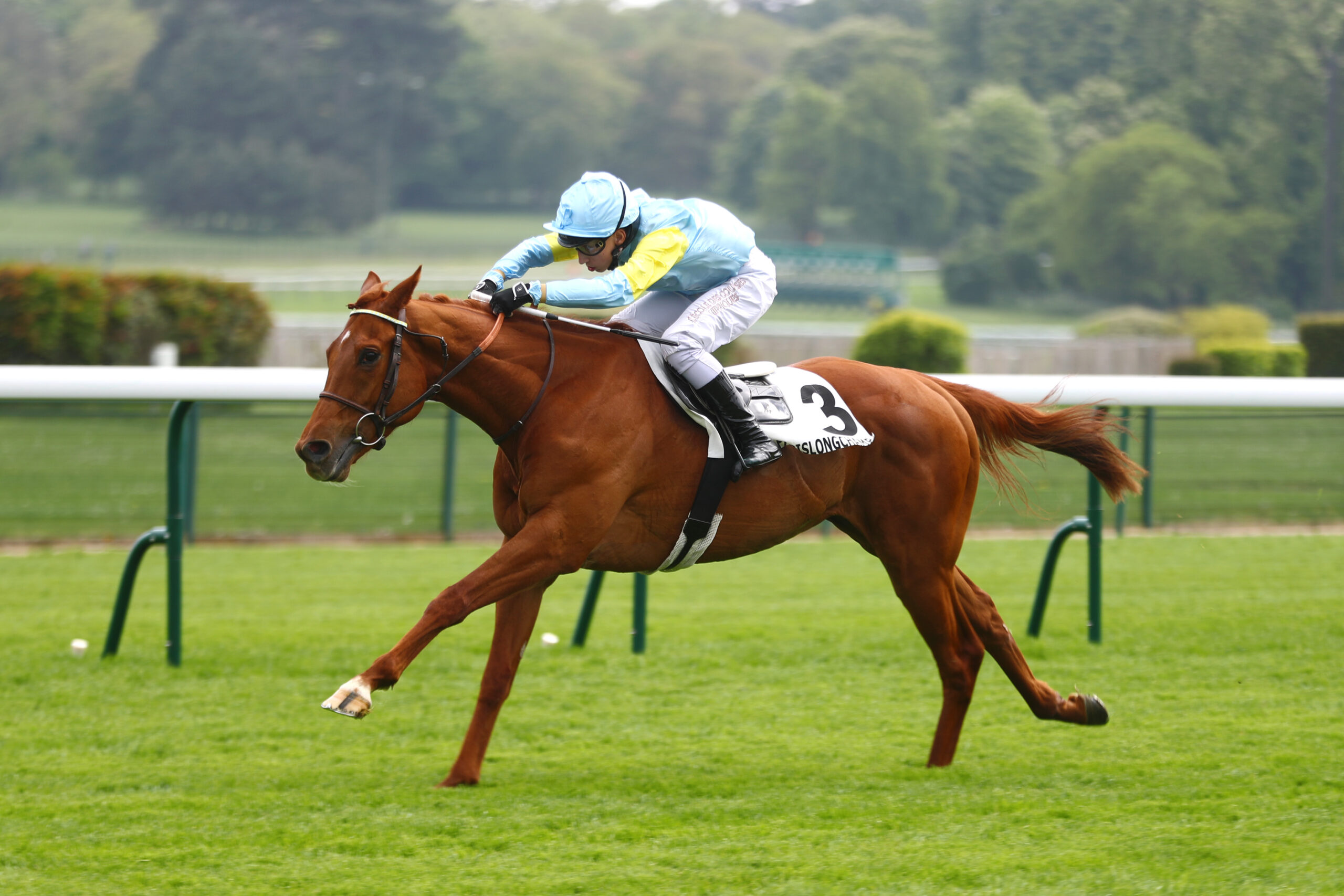 [GALOP] 24 Avril 2025 - ParisLongchamp - Espoirs en courses