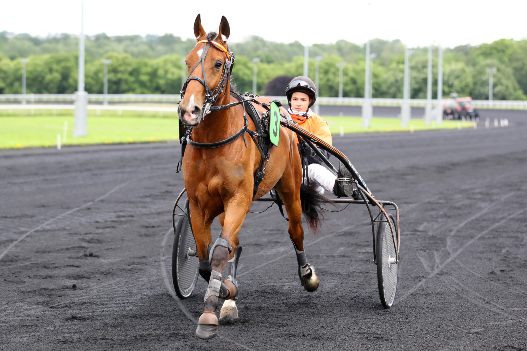 Engager son cheval - Espoirs en courses